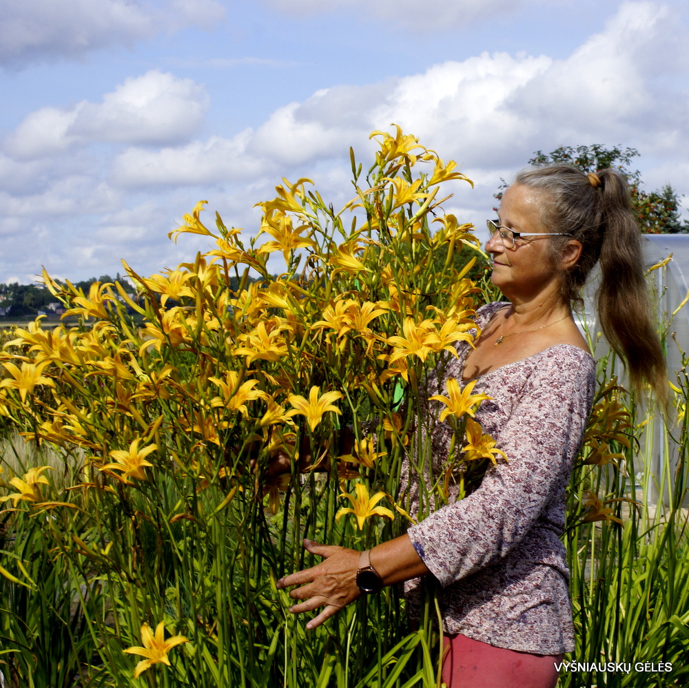 'Autumn Minaret' - Vyšniauskų gėlės